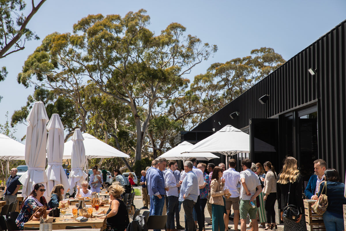 Vinteloper - Visit Us at LOT.100